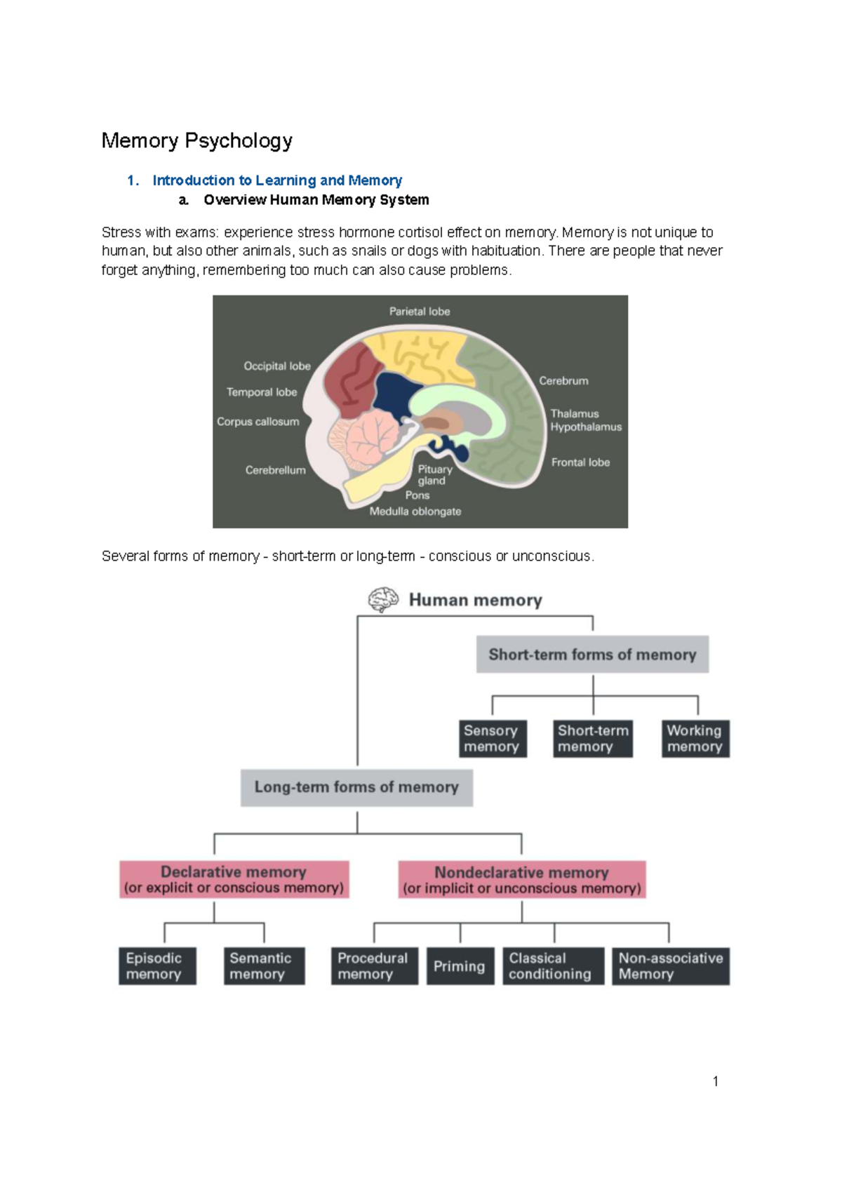 Learning Psychology HS 1: Understanding Memory Systems and Processes ...