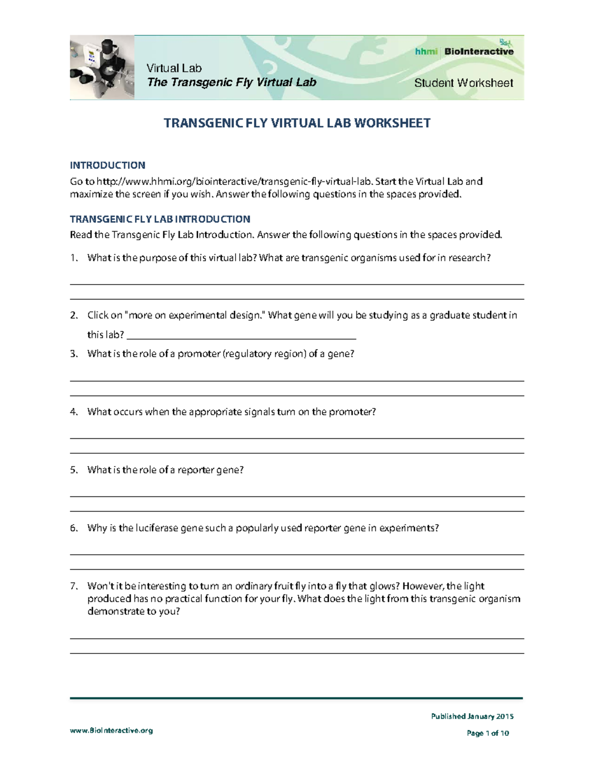 Transgenic Fly Virtual Lab Worksheet (BIO101) - Studocu