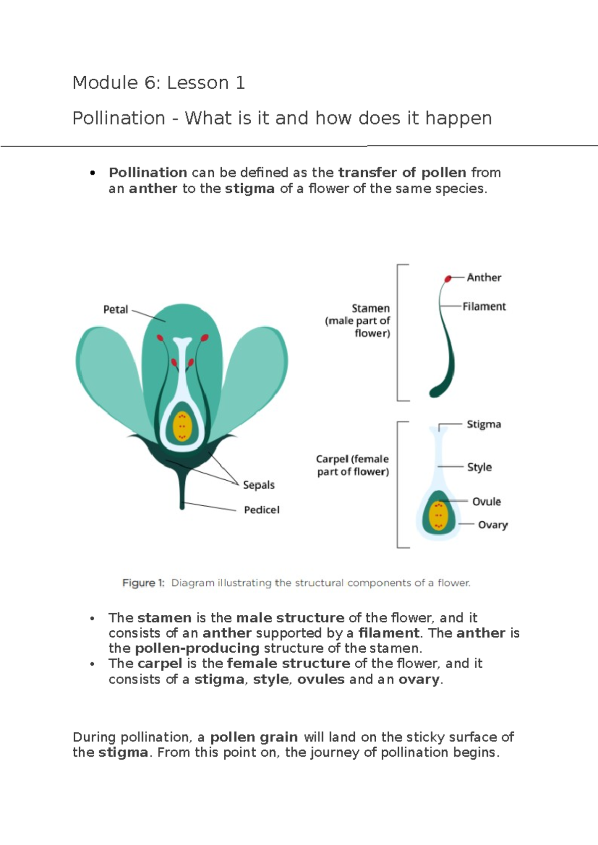 Module 6 - Understanding Pollination and Seed Development - Studocu
