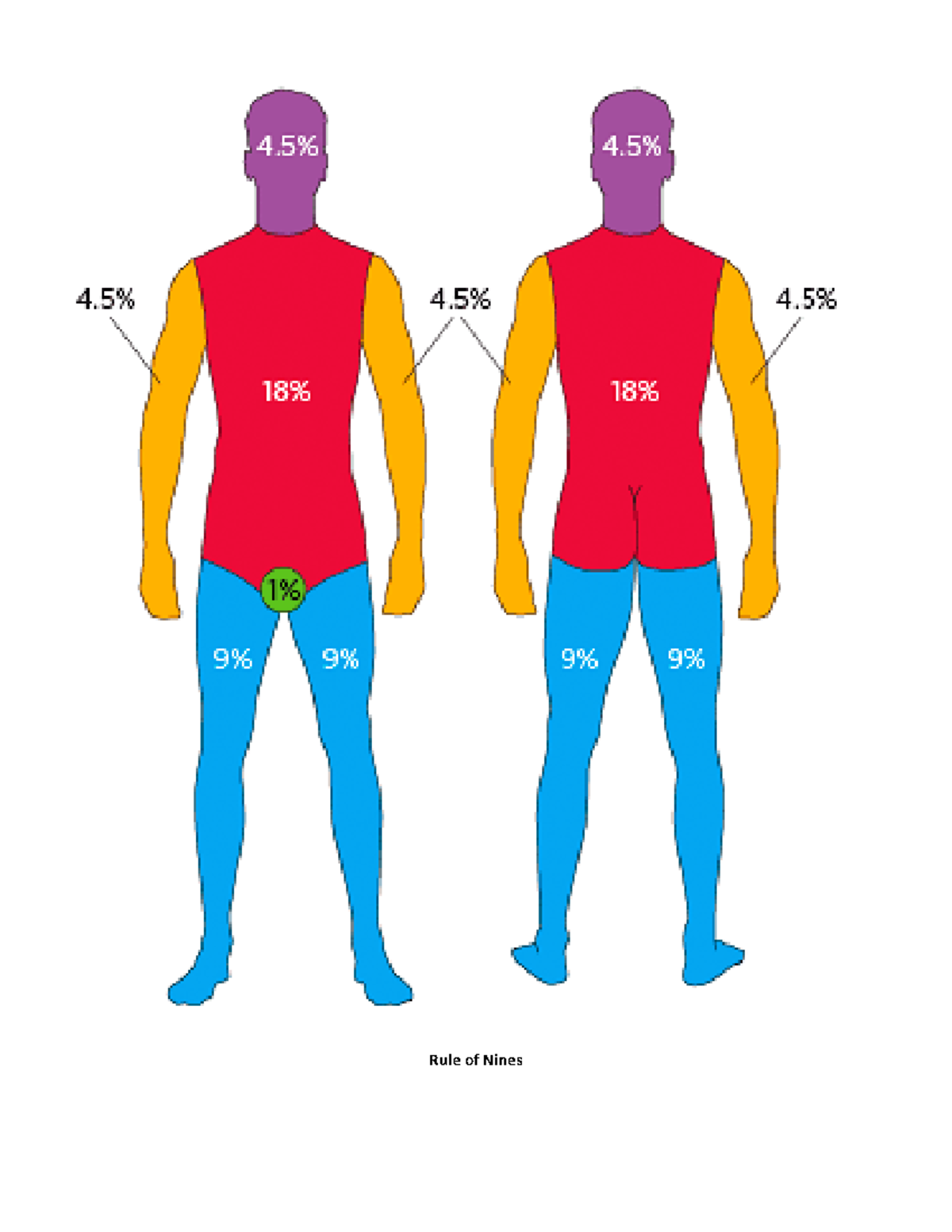 Rule of Nines student - Rule of Nines Fluid Resuscitation (chart 26-4 ...