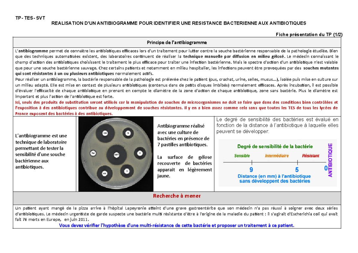 TP Antibiogramme et Résistance Bactérienne TES 2022 - Studocu