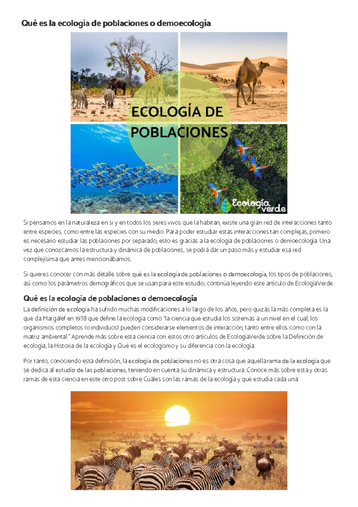 Ejemplos De Ecología De Poblaciones