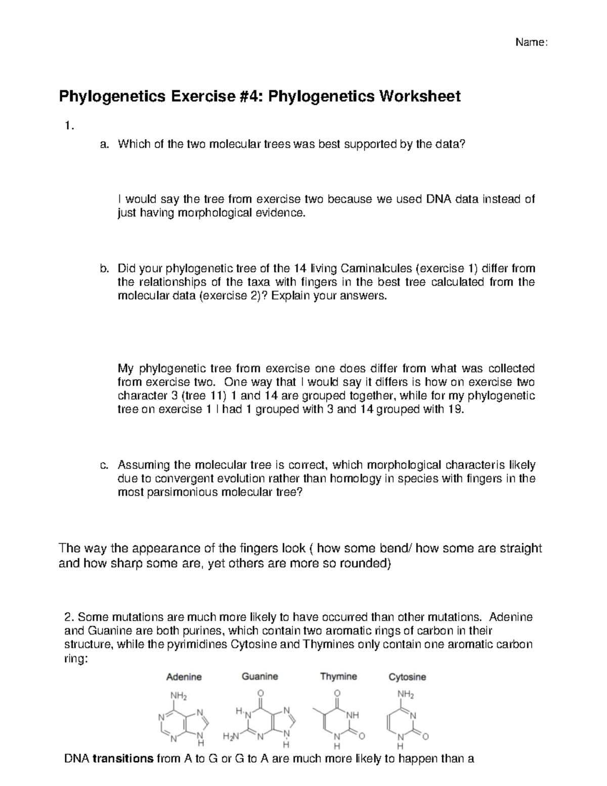 S23 1108L-Phylogenetics Worksheet 11 - Phylogenetics Exercise #4 ...