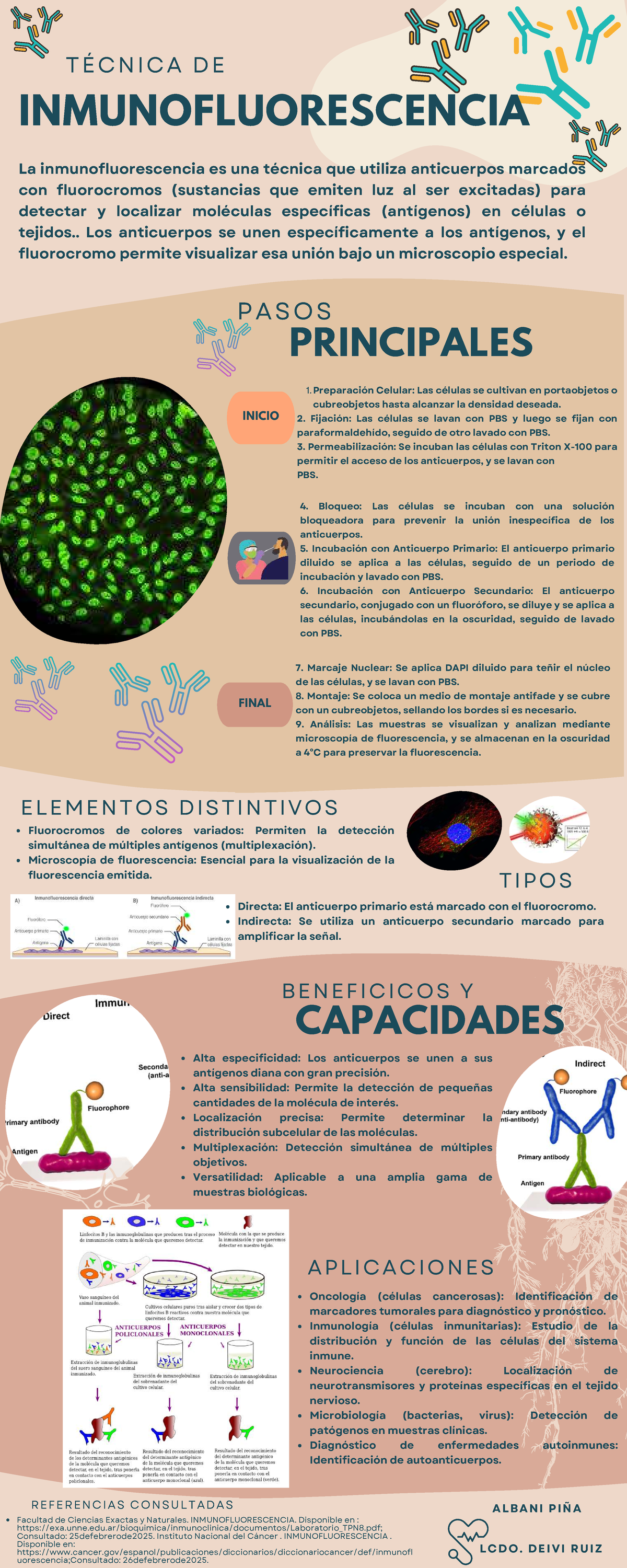 Técnica de Inmunofluorescencia: Pasos y Aplicaciones en Biología - Studocu