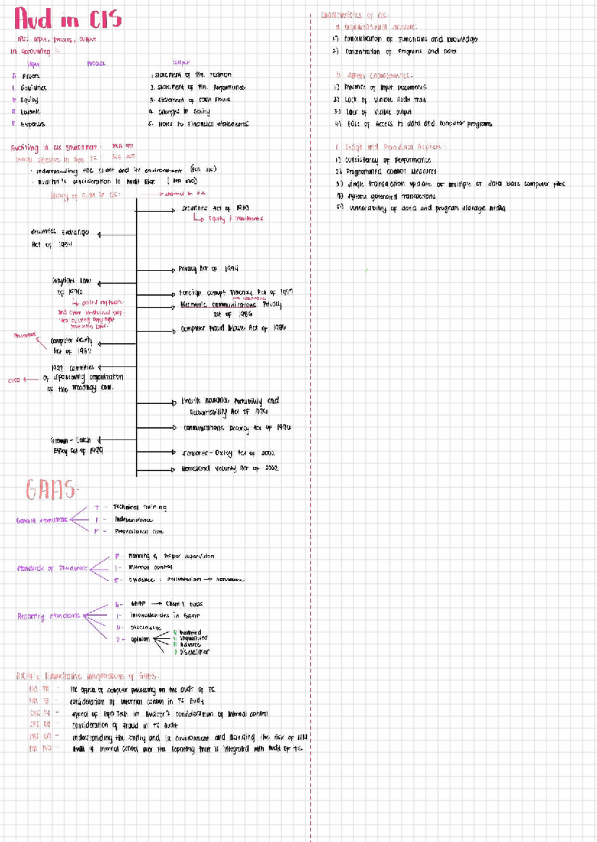 Auditing in CIS: Key Characteristics and Standards (PSA 401, PSA 200) - Studocu