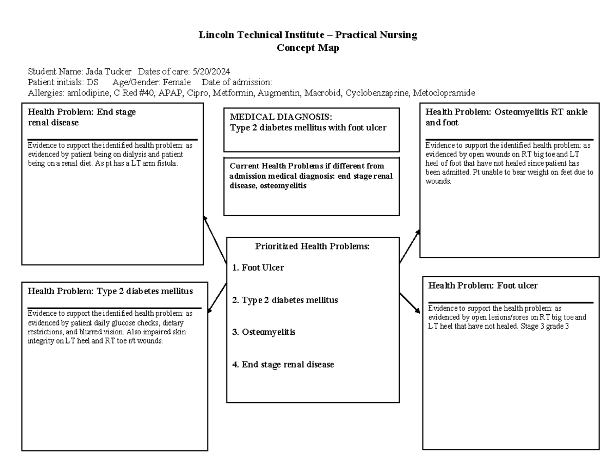 Concept Map for Practical Nursing: Patient DS - Care Overview - Studocu