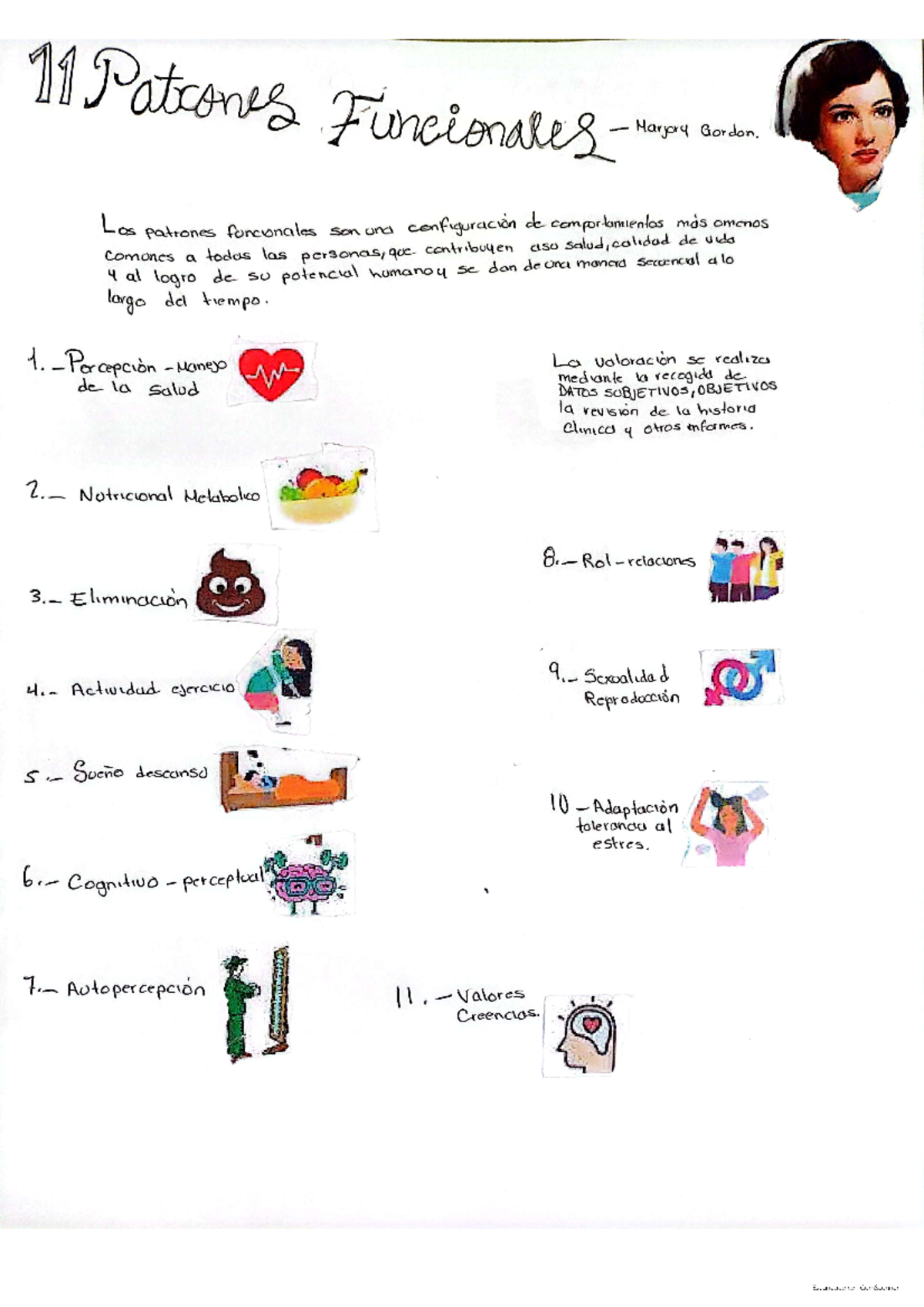 11 Patrones Funcionales de Salud según Marjory Gordon - Studocu