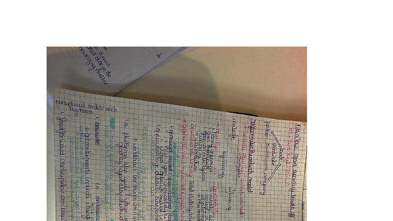 Informatie Theoretisch vs Ecologische Systeemtheorie: MT 20/w Analyse ...