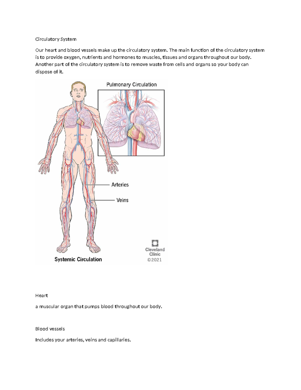 Anaphy case study - beaver - Circulatory System Our heart and blood ...