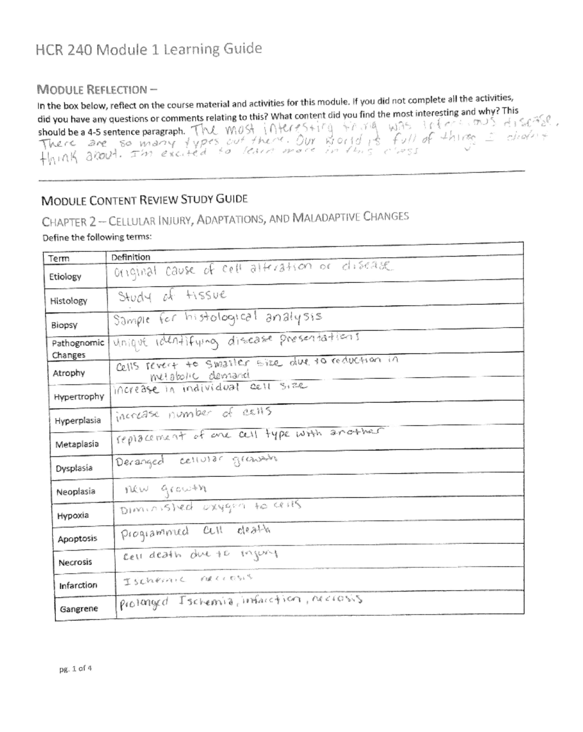 HCR 240 Module 1 Learning Guide: Key Concepts and Reflection Notes ...