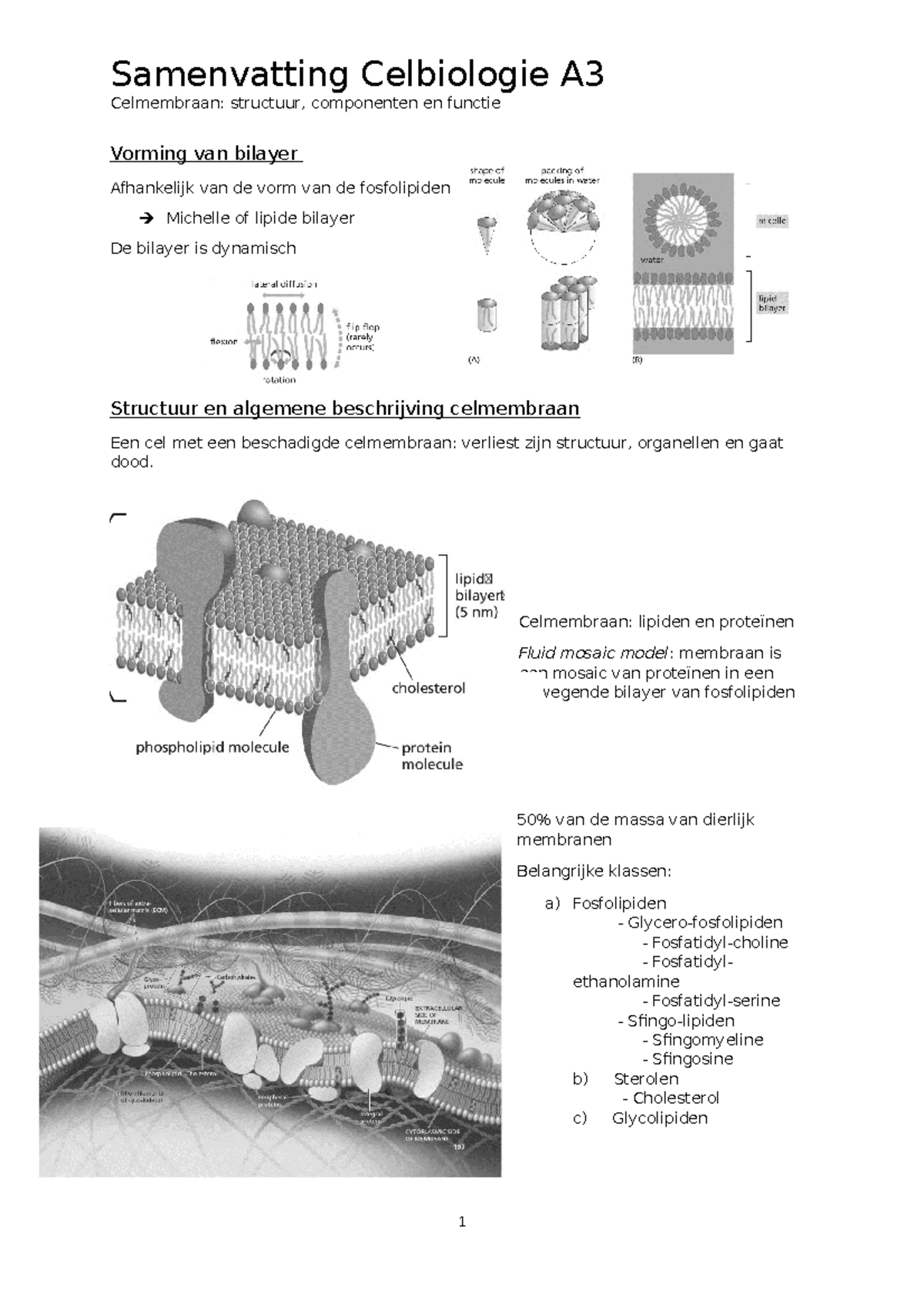 Samenvatting Celbiologie A3 - Celmembraan: structuur, componenten en ...
