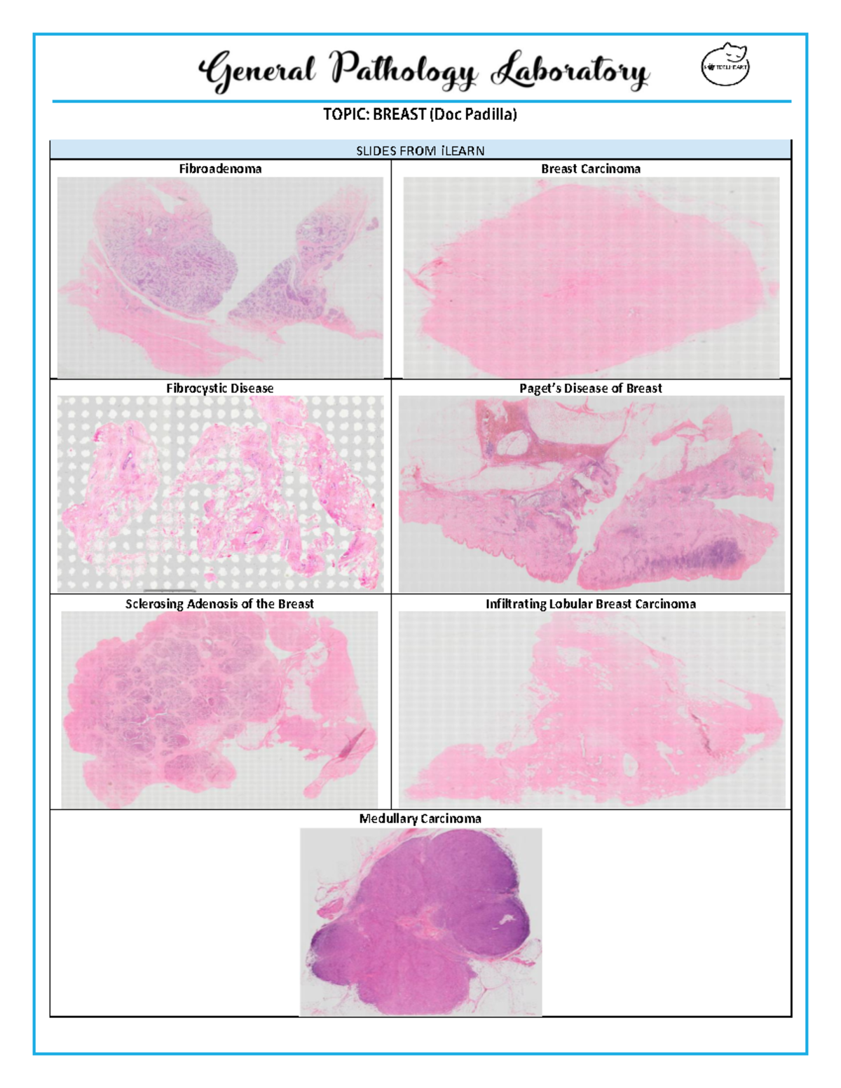 GEN PATH LAB- Breast - Quick notes on general pathology - SLIDES FROM ...