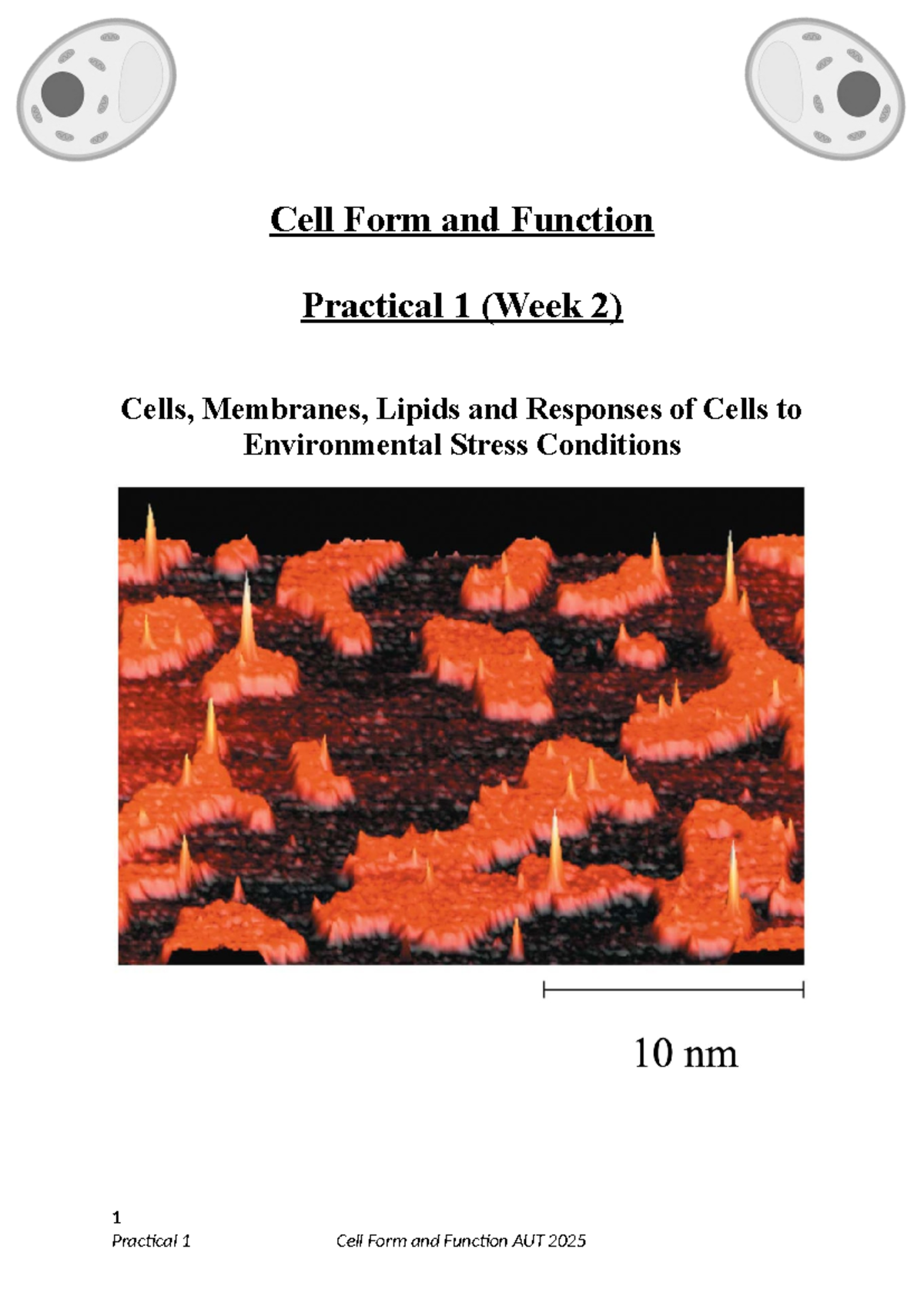 CFF Practical 1: Cells, Membranes, and Stress Responses - AUT 2025 ...