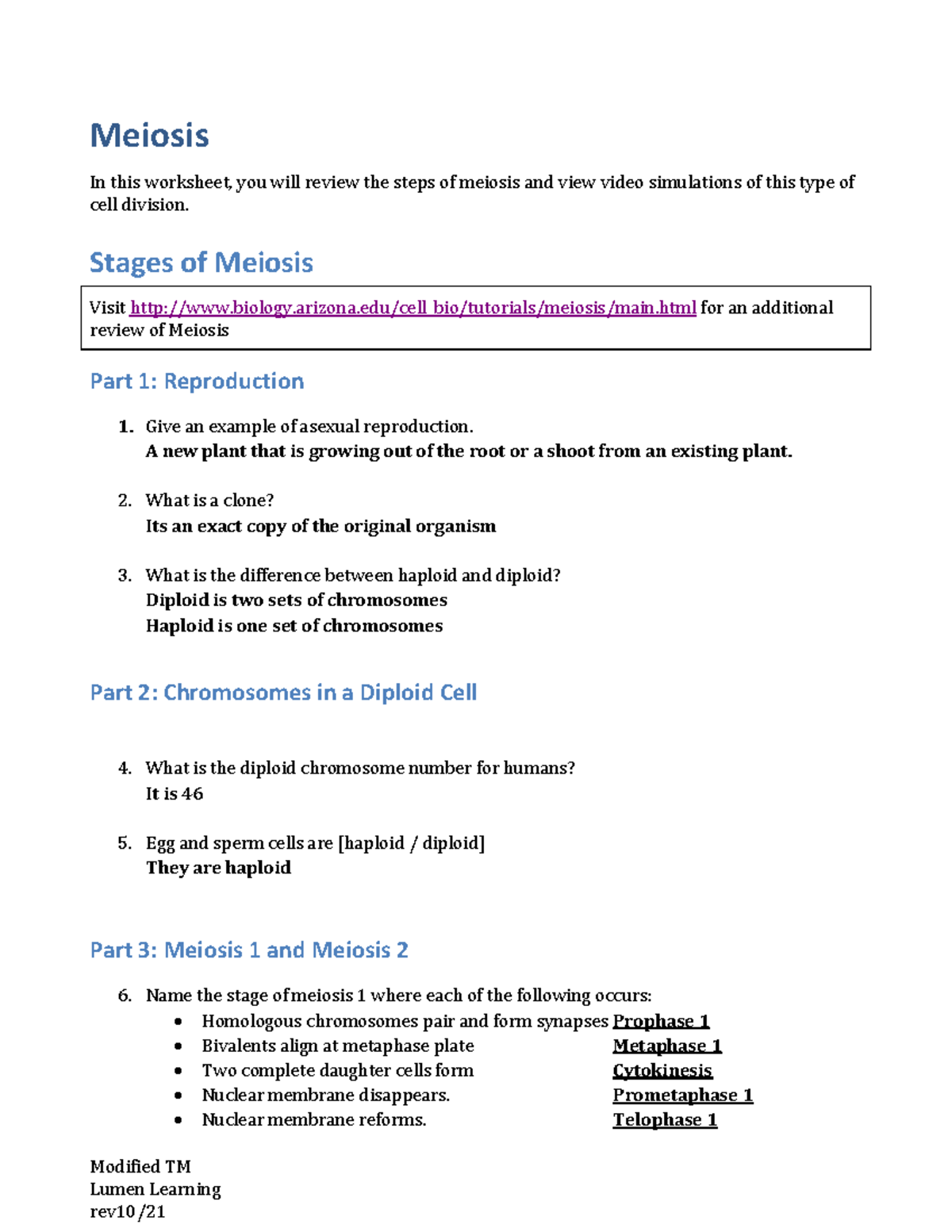 Meiosis Worksheet Fa21 - Modified TM Lumen Learning rev10/ Meiosis In ...