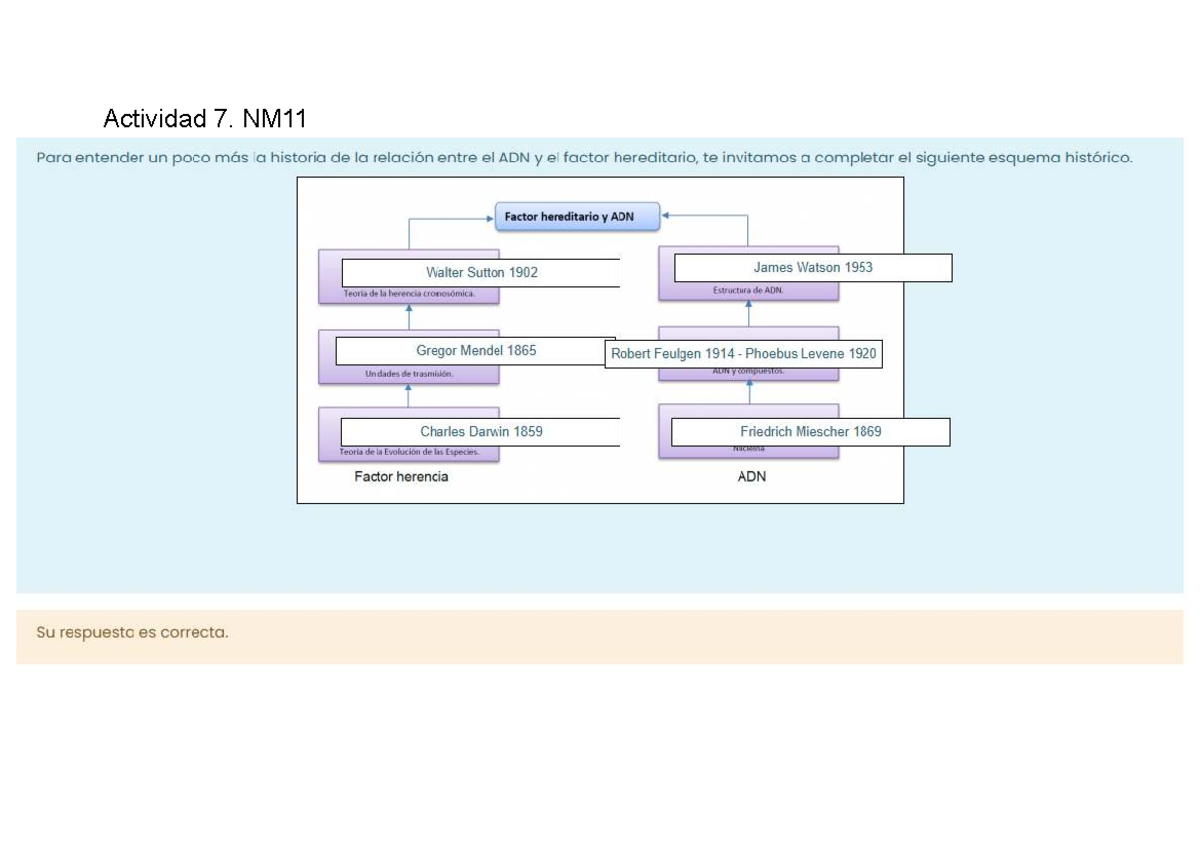 NM11 Actividad 7: Historia del ADN y el Factor Hereditario - Studocu