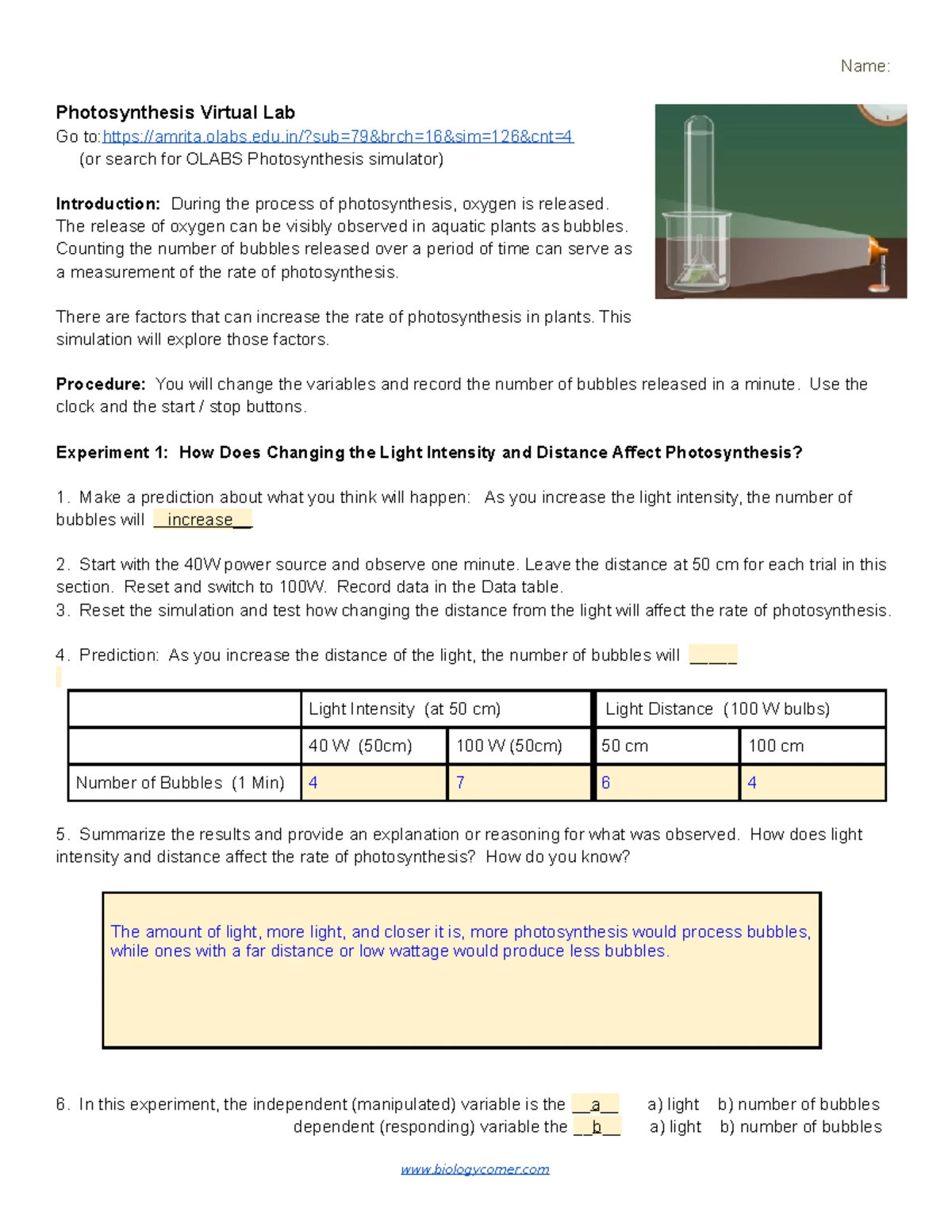Photosynthesis Lab Worksheet: Essential Concepts & Experiment Steps ...