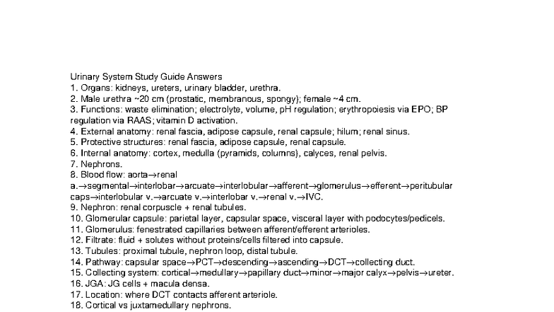 Urinary System Study Guide (BIO 101): Key Concepts & Functions - Studocu