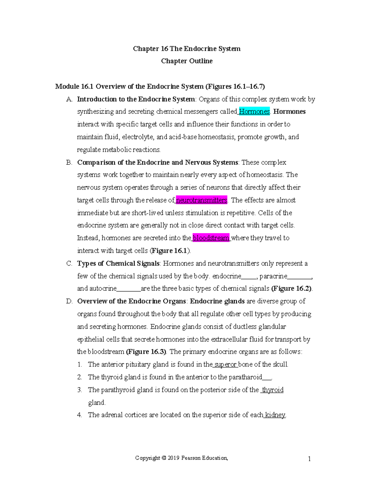 Endocrine System Overview and Mechanisms - BIO 101 Lecture Notes - Studocu