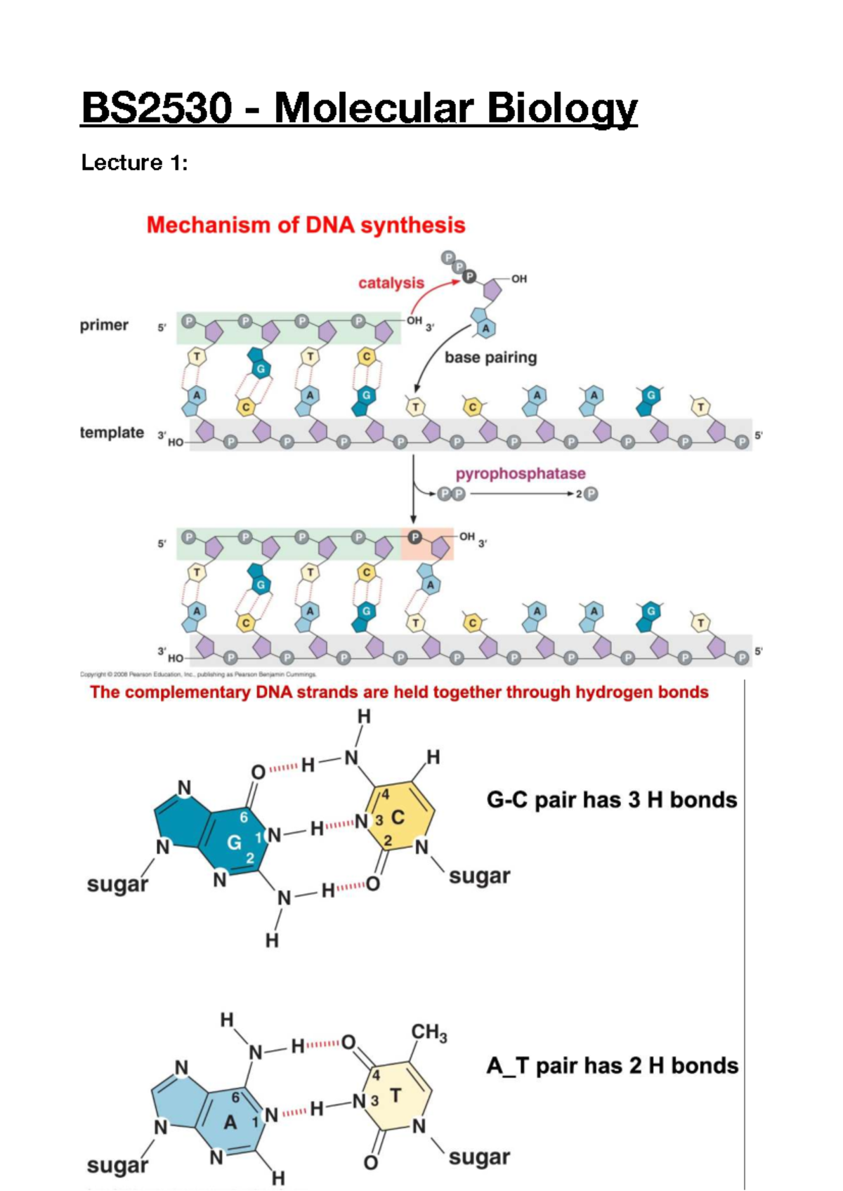 BS2530 Molecular Biology Lecture 1: Key Concepts and DNA Structure ...