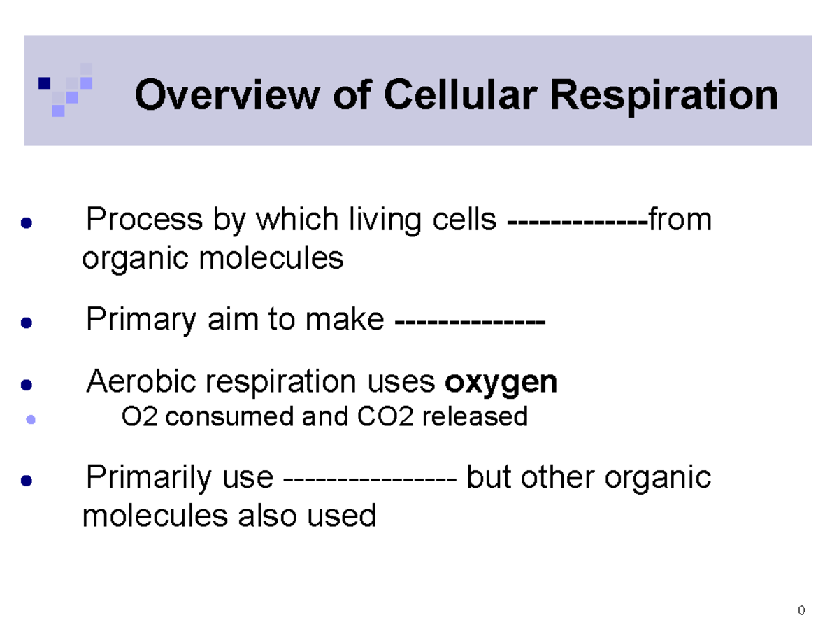 Overview of Cellular Respiration: Key Processes and Pathways - Studocu