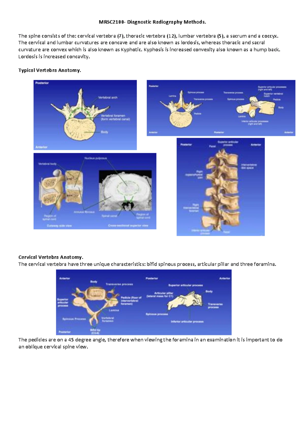 Radiographic Reporting Checklist: 10 Essential Points for Quality ...