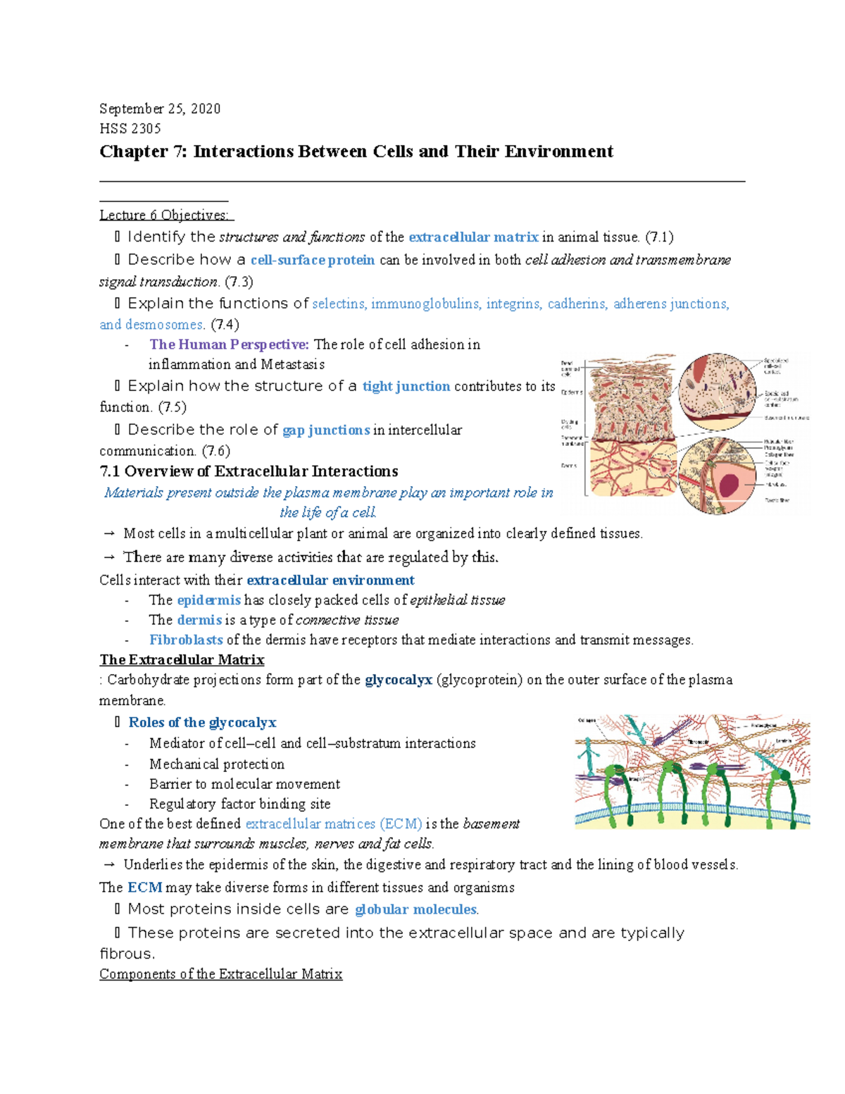 Chapter 7: Cell-Environment Interactions in HSS 2305 Lecture Notes ...