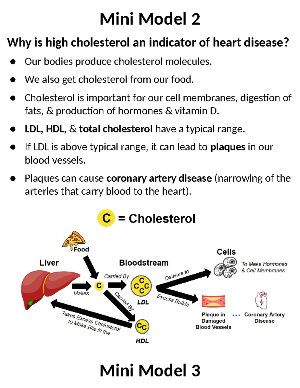 Understanding the Role of Cholesterol in Heart Disease (Bio 101) - Mini ...