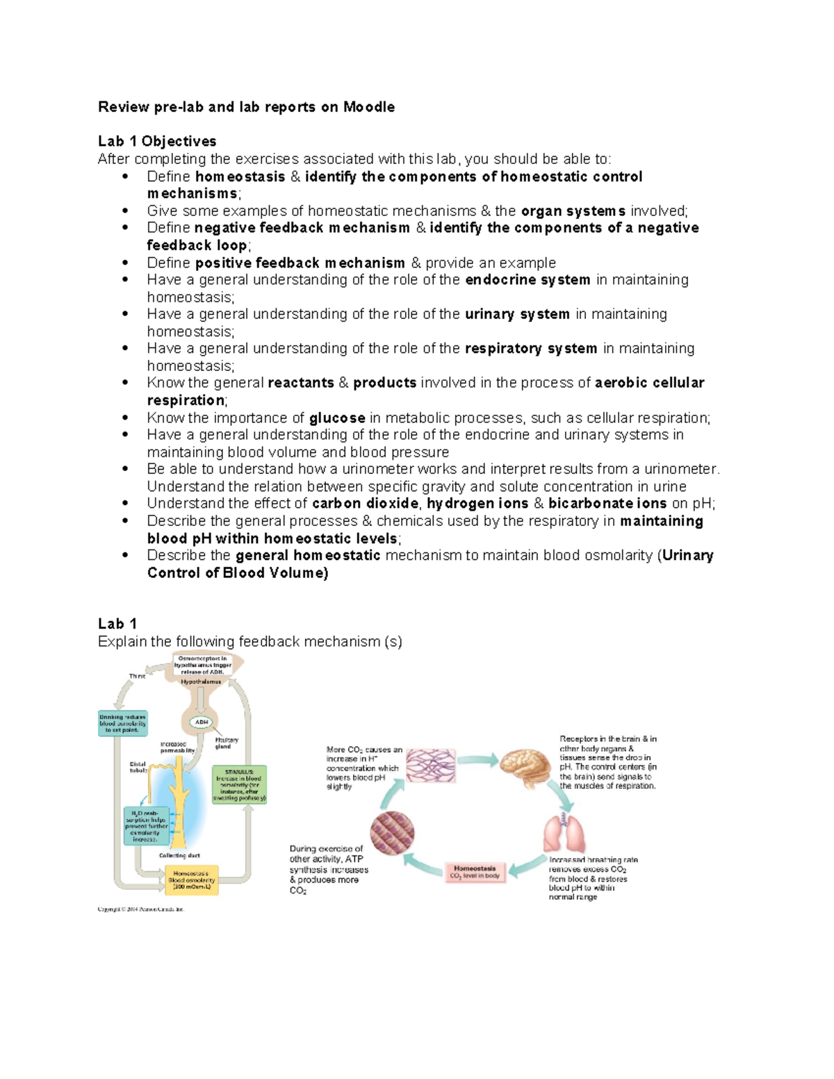 Lab Test 1 Objectives: Homeostasis & Membrane Transport Mechanisms ...
