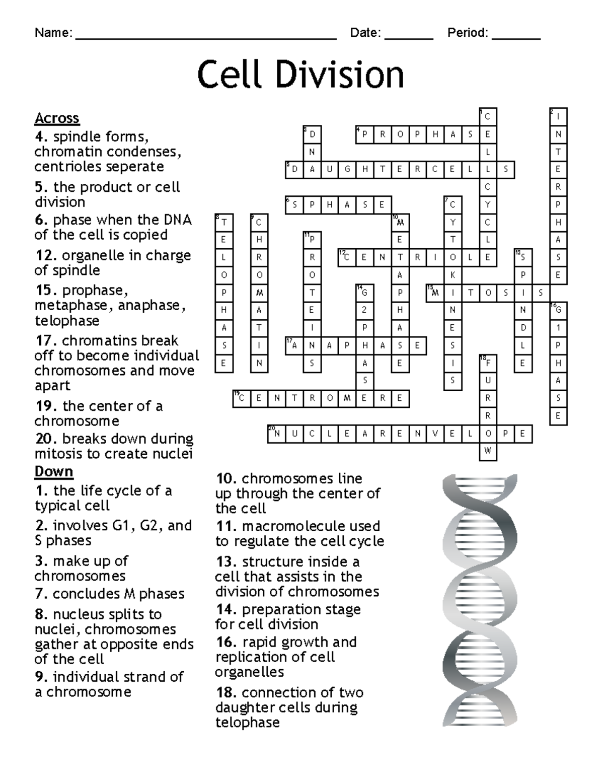 Cell Division answer key - Name ...