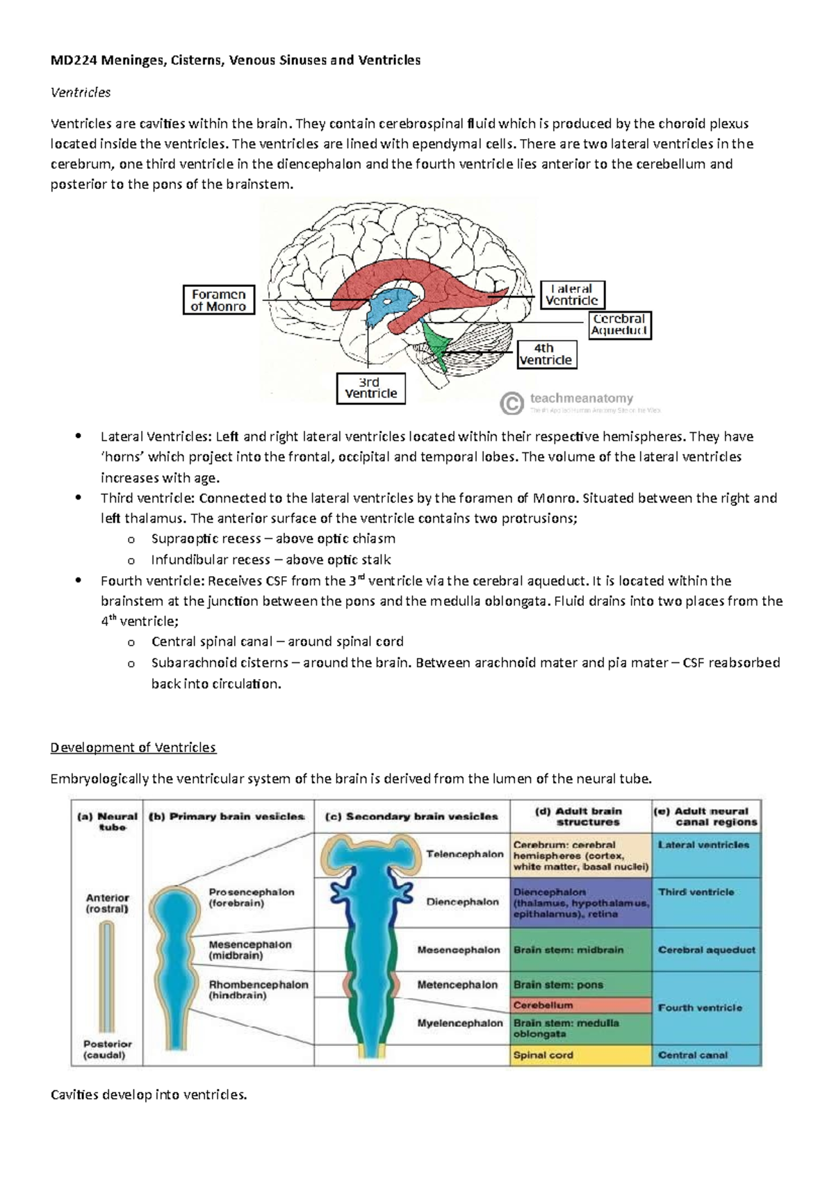 MD224 Meninges: Ventricles, Cisterns, and Venous Sinuses Explained ...