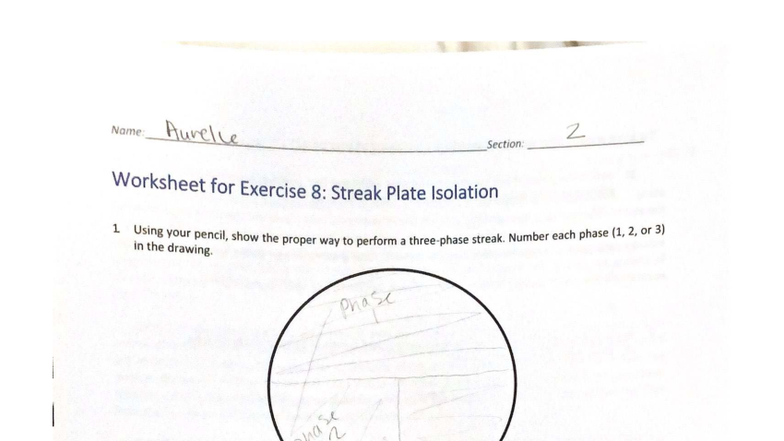 Exercise 8: Streak Plate Isolation Worksheet - Studocu