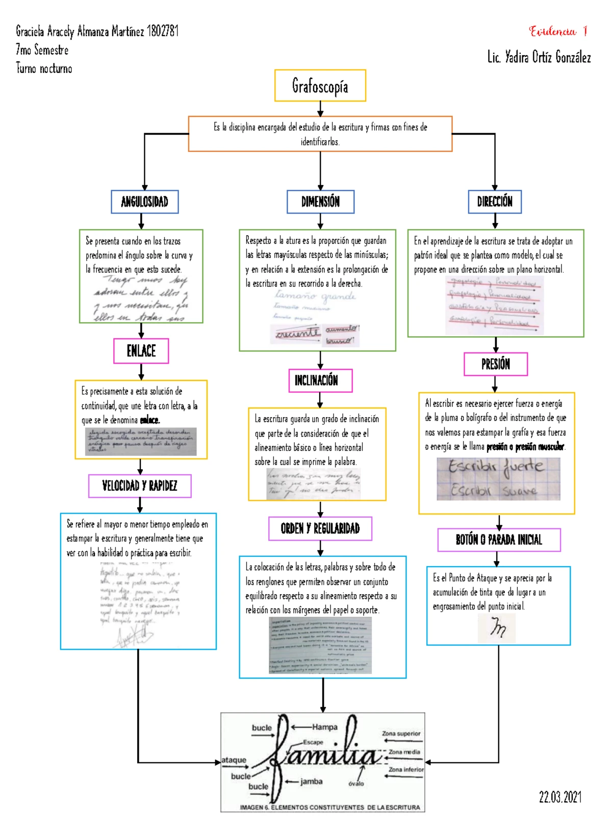GUÍA GRAFOSCOPÍA: Estudio de Escritura Manuscrita y Métodos Esenciales ...