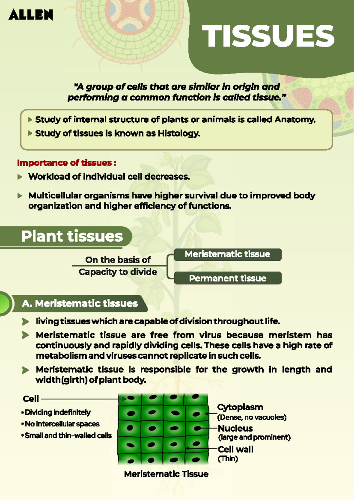 Science Class 9 Biology: Chapter 2 - Tissues Overview - Studocu