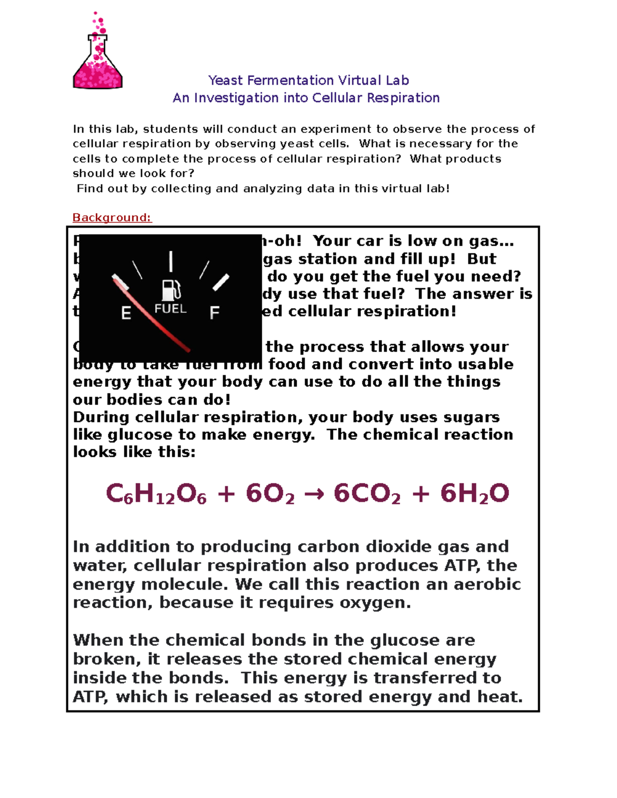 Cellular Respiration Virtual Laband Guided Reading-1 - Yeast ...