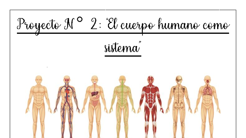 CIENCIAS NATURALES - Proyecto N° 2: Sistemas del Cuerpo Humano 5to 2022 ...