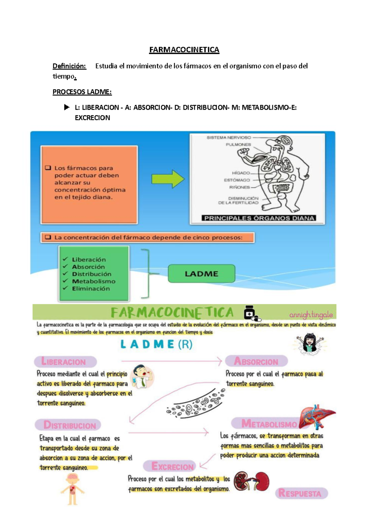 FARMACOCINETICA: Procesos LADME y su Impacto en la Absorción y ...
