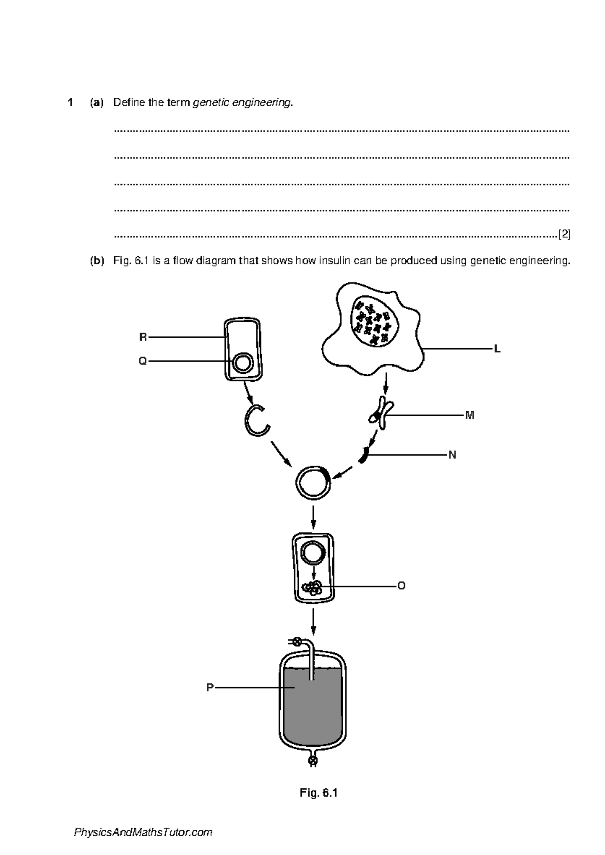 Biotechnology & Genetic Engineering 1 Final Exam QP - Studocu