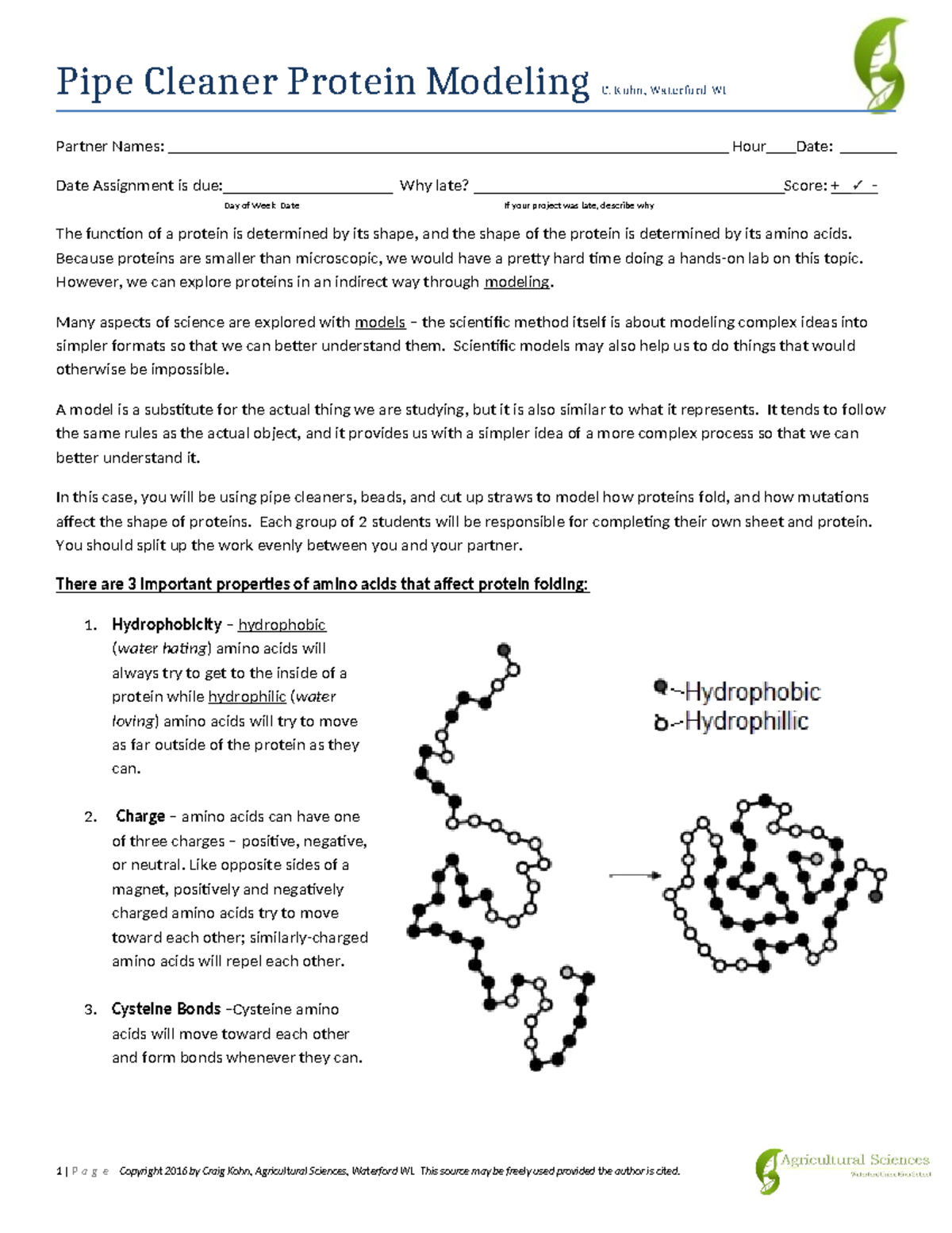 Pipe Cleaner Protein Modeling for Bio 101: Understanding Protein ...