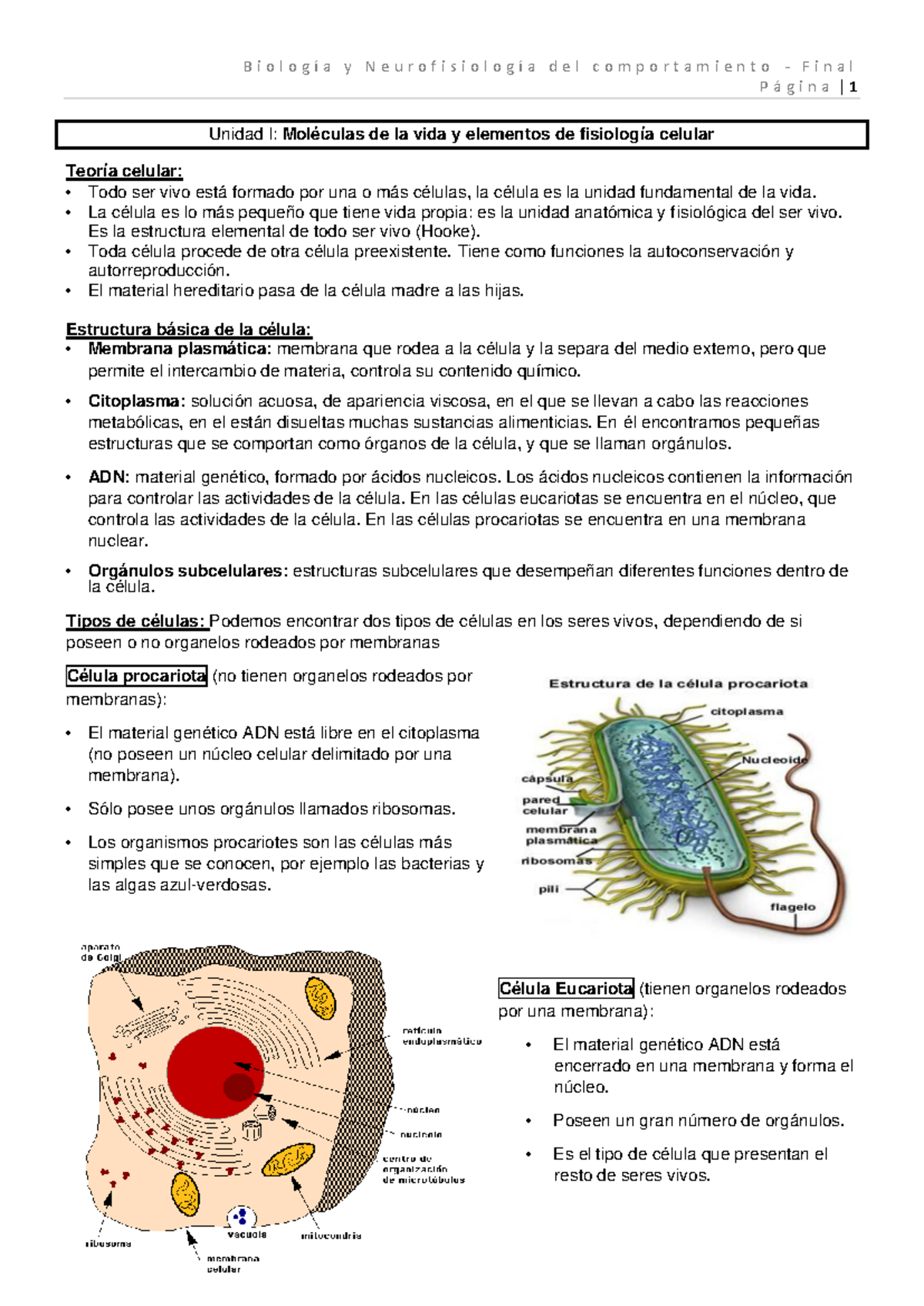 Biología - Final de Unidad: Estructura y Funciones Celulares - Studocu