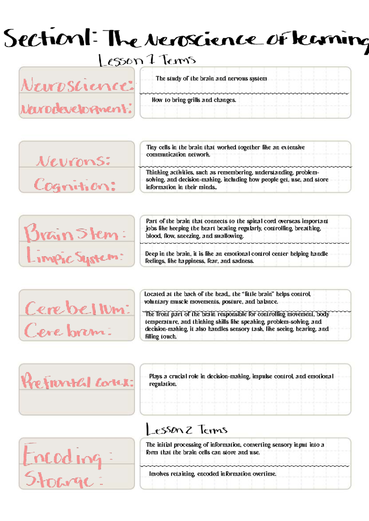Understanding the Brain: Functions & Emotional Regulation (PSY 101 ...