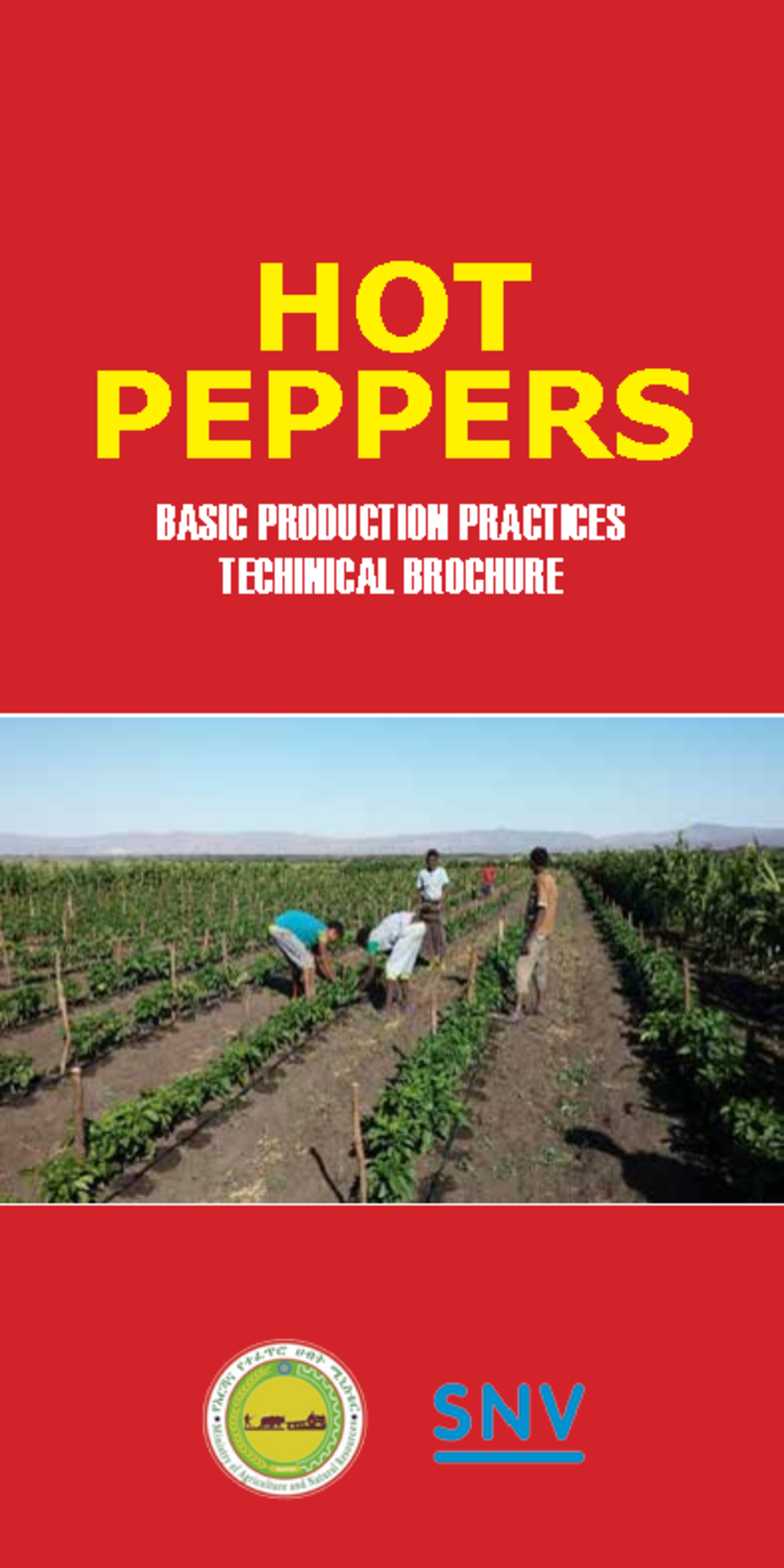Hot Pepper Production Guide: Basic Practices & Guidelines - Studocu