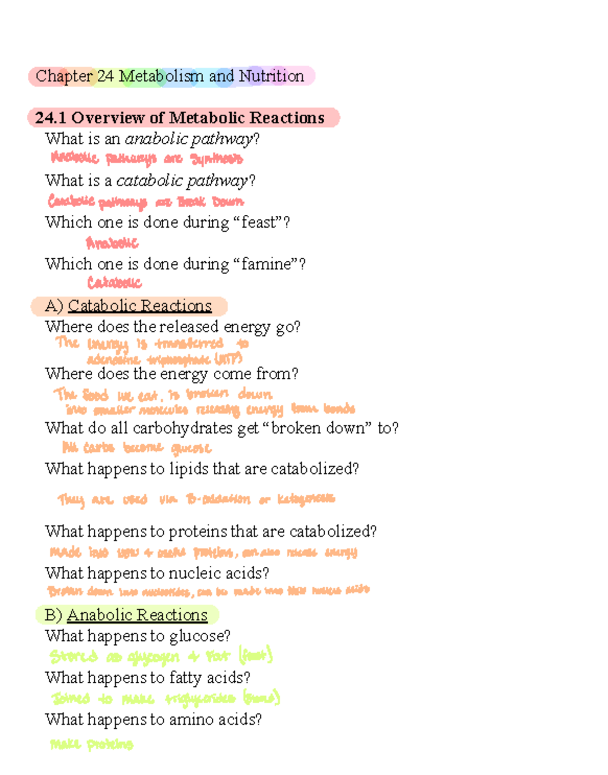 A&P Ch. 24 Metabolism & Nutrition - Chapter 24 Metabolism and Nutrition ...