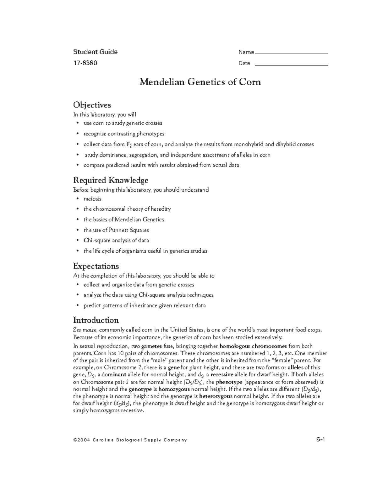 Student Handout: 17-6360 Mendelian Genetics Lab on Corn Analysis - Studocu