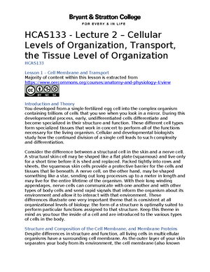 [Solved] Define the function and location of lymph Identify the steps ...