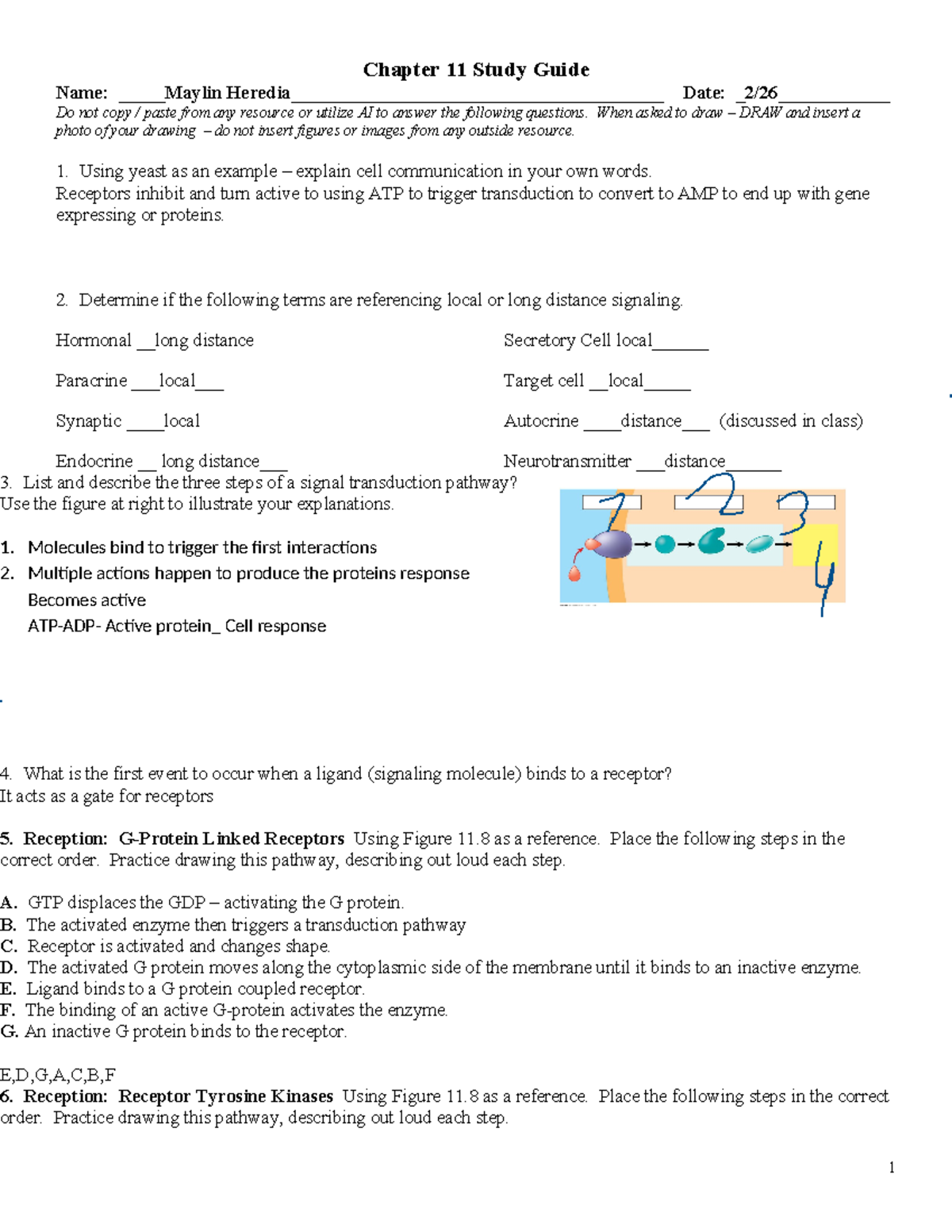 Chapter 11 Study Guide: Cell Communication & Signal Transduction F23 ...