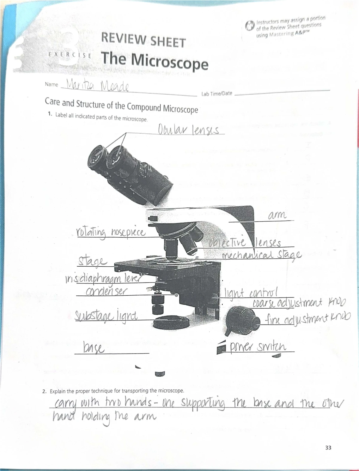 Exercise 9: Review Sheet on the Axial Skeleton and Vertebral Column ...