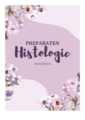 Epitheel - functionele histologie - Epitheel Inleiding Er zijn vier ...