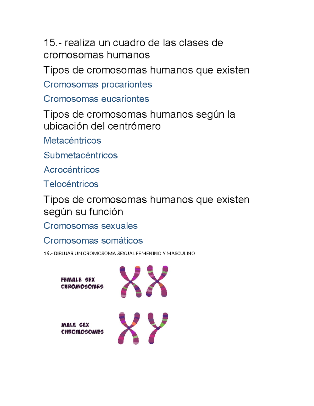Ciencias - Tipos y Funciones de los Cromosomas Humanos - Studocu