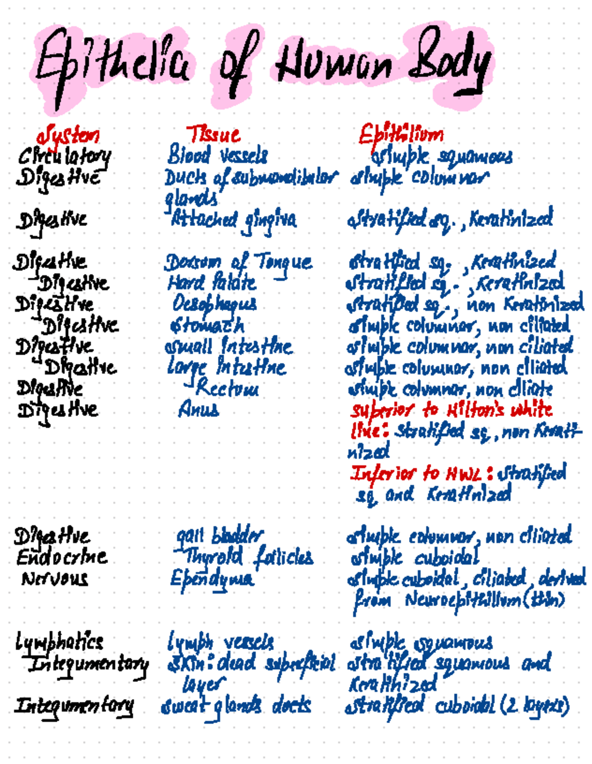 Epithelia of the Human Body: A Comprehensive Study Guide - Studocu