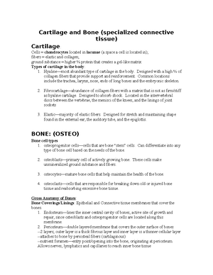 [Solved] FILLINTHEBLANK Match the structures with the correct function - Anatomy and Physiology ...